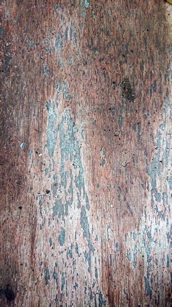 Premium Photo Bark Texture With Bright Light