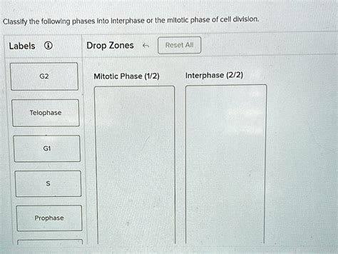 Get Answer Classify The Following Phases Into Interphase Or The