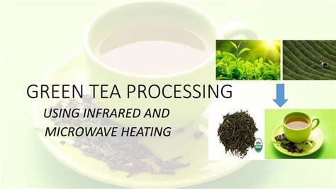 Green Tea Processing Pptx
