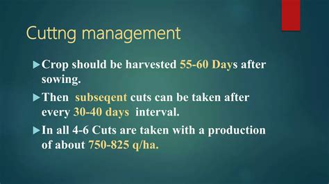 Berseem Fodder Crop Production Pptx