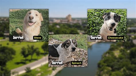 Olfen Isd To Start Four Day School Week Schedule