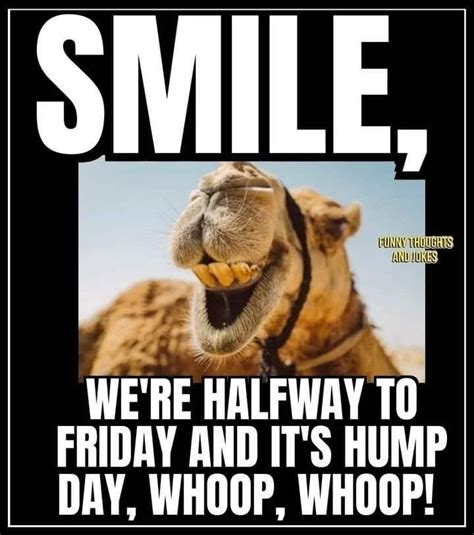 30 Hump Day Memes For That Midweek Mood Funny Wednesday Memes Happy Wednesday Quotes Funny