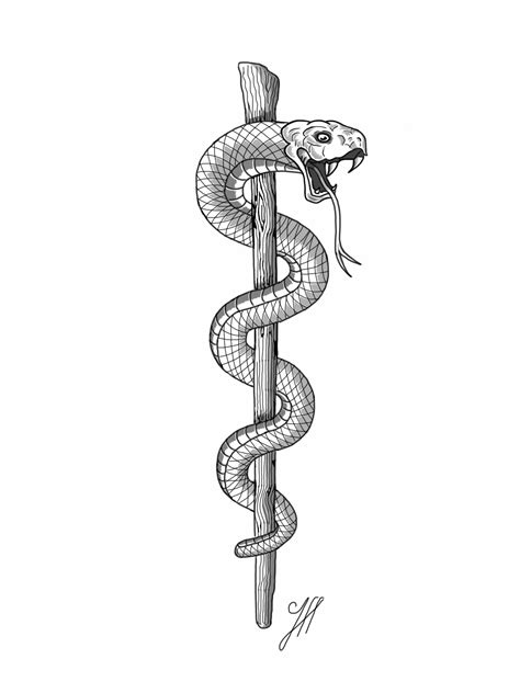 Rod Of Asclepius Wallpapers Wallpaper Cave