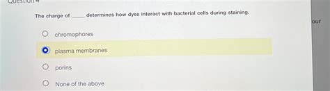 Solved The Charge Of ﻿determines How Dyes Interact With