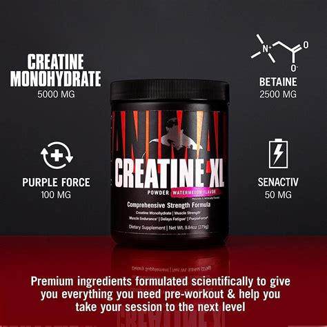 Animal Creatine Xl Powder With Purpleforce And Senactiv Enhanced