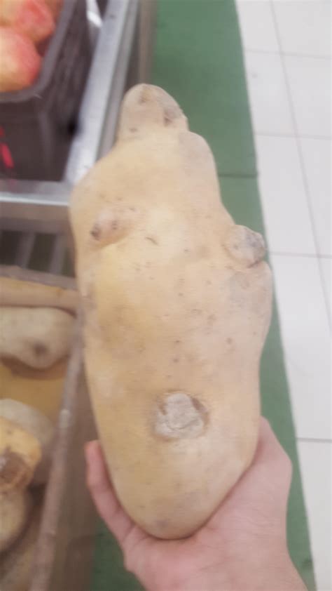 This Is The Biggest Potato In The World Rjacksepticeye