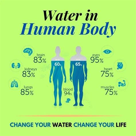 Enagic Leveluk Jriv Water Ionizer Machine At ₹ 170000piece Enagic