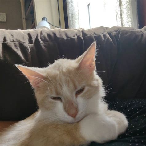 Stream Axtin Music Listen To Songs Albums Playlists For Free On