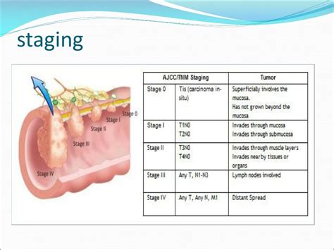 Ppt Colorectal Cancer Powerpoint Presentation Free Download Id9442627