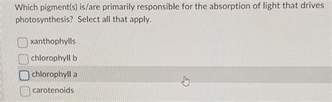 Solved Which Pigments ﻿isare Primarily Responsible For