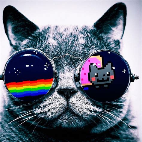 Gavins Sonic Spit Youtube