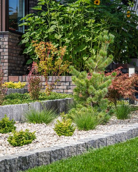 21 Best Rock Garden Ideas How To Make A Rock Garden