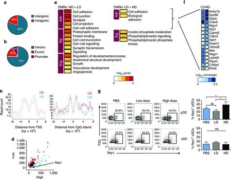 Differential Regulation Of Adhesion Molecules Via Dna Methylation In