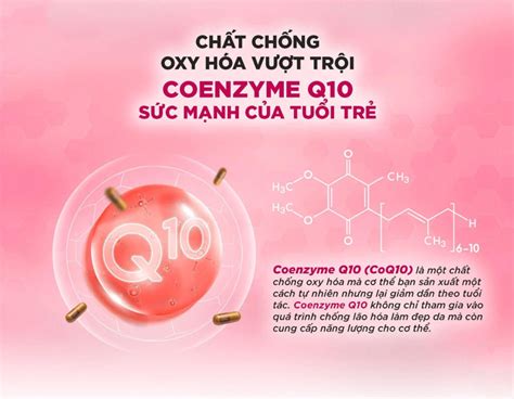 Viên Uống Dhc Coenzyme Q10 Nhật Bản Chống Lão Hóa Da 30 Ngày Je Mart