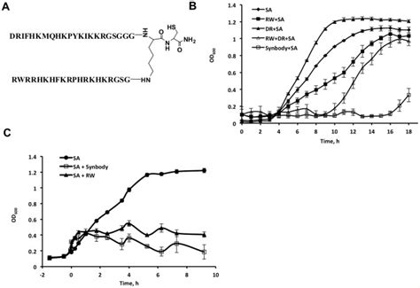 A Structure Of S Aureus Synbody B Bacterial Growth Of S Aureus