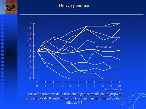 Ppt CapÍtulo 10 La Deriva Deriva Genética Efecto Fundador Y