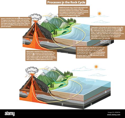 Metamorphic Rock Cycle Diagram