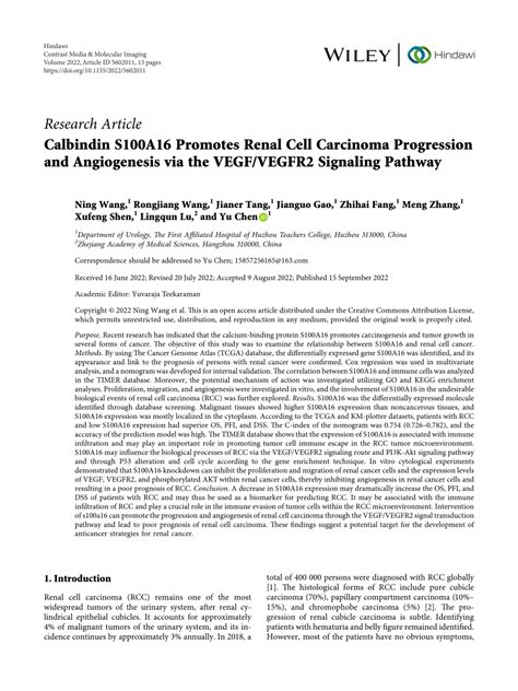 Pdf Calbindin S100a16 Promotes Renal Cell Carcinoma Progression And