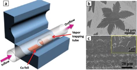 a schematic of a vapor‐blocking inner‐reactor tube cvd method for the