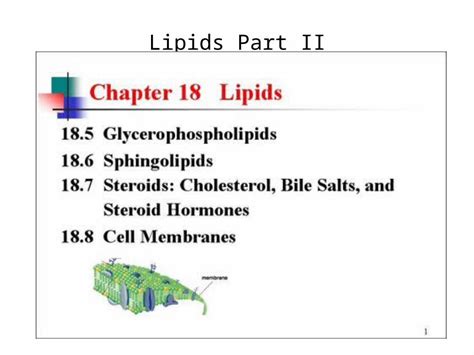 Ppt Lipids Part Ii Glycerophospholipids Sphingolipids Used In Brain