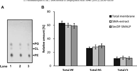 Figure 1 From Characterization Of The Annular Lipid Shell Of The Sec