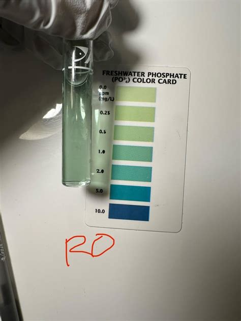 Api Phosphate Test Kit Inaccurate Raquariums