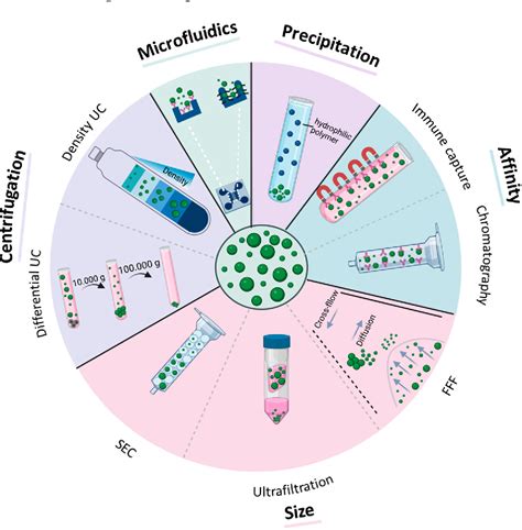 Figure From Extracellular Vesicles In Liquid Biopsies As Biomarkers For Solid Tumors