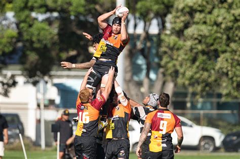 David Brownlie Photos Added A New David Brownlie Photos