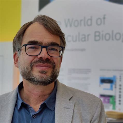 Stream Episode Evolution Of The Brain By Science Stories Podcast Listen Online For Free On