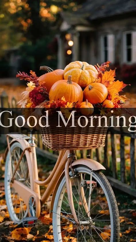 100 Good Morning Fall Images With Quotes Start Monday To Saturday With