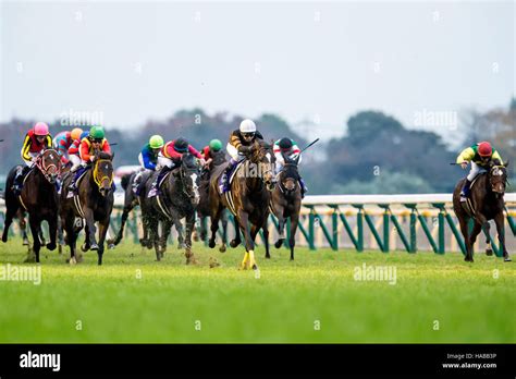 Fuchu Tokyo Japan 27th Nov 2016 Kitasan Black Yutaka Take Horse