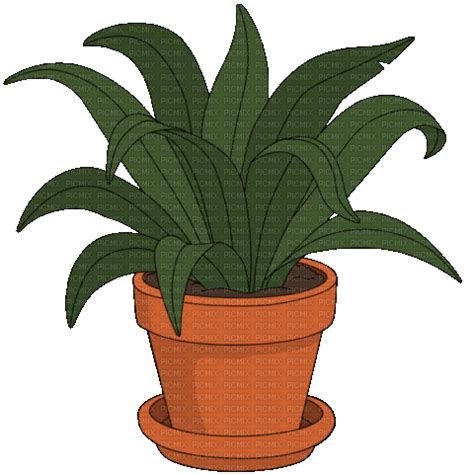 Planta Planta Plant Plante  Animado Gratis Picmix
