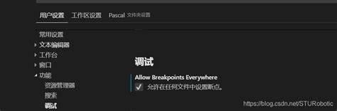 vs code 配置pascal使用环境（编译、调试） pascal编译环境 csdn博客