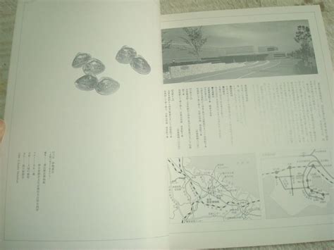 Yahooオークション 図録 幻の宮 伊勢斎宮 王朝の祈りと皇女たち 1