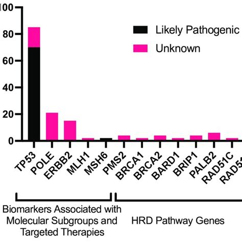 Frequency Of Mutations In Genes Associated With Molecular Download Scientific Diagram