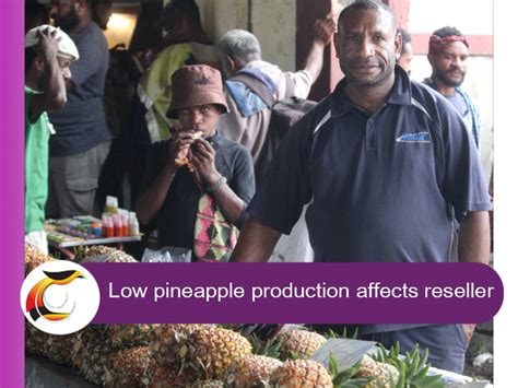 Low Pineapple Production Affects Reseller Post Courier