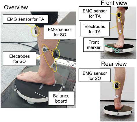 Positions Of Emg Sensors Ems Electrode Only Ems Group And