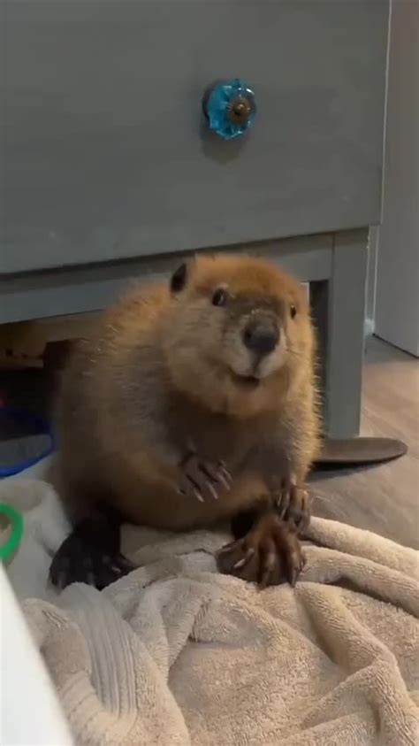 Nice Nice Album On Imgur