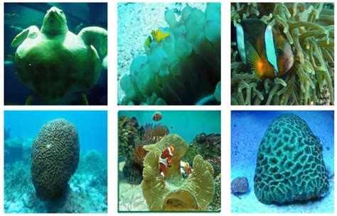 New Underwater Image Enhancement Algorithm Based On Improved U Net