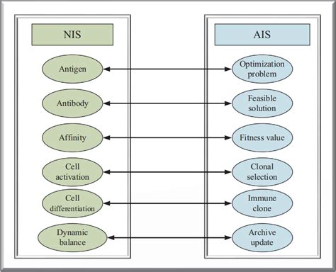 the mapping relationship between nis and ais download scientific diagram