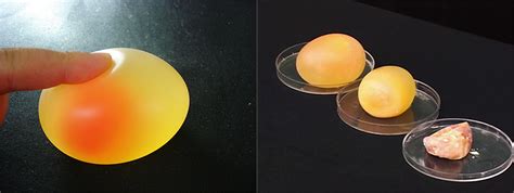 호기심 과학 저농도에서 고농도로 이동한다 계란으로 알아보는 삼투현상