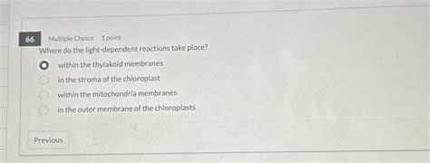 Solved Multiple Choice 1 Point Where Do The Light Depende