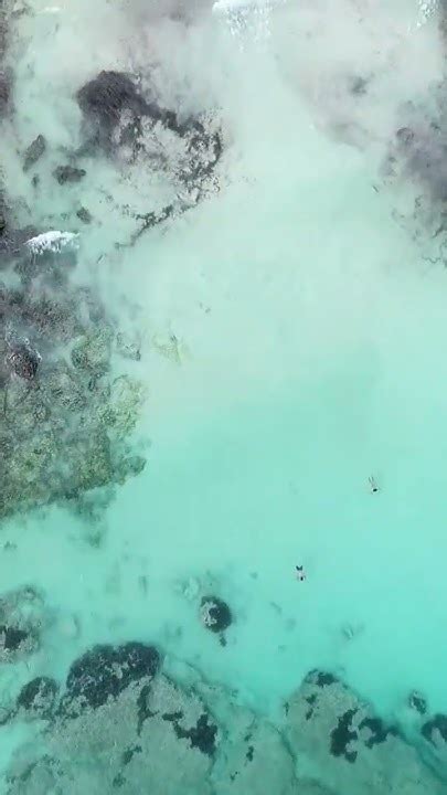 سوره انعام آیه ۲۰ Youtube