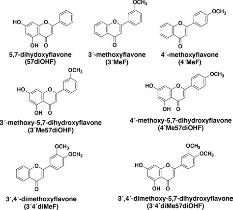 Oxidation Of 3′ Methoxyflavone 4′ Methoxyflavone And 3′4