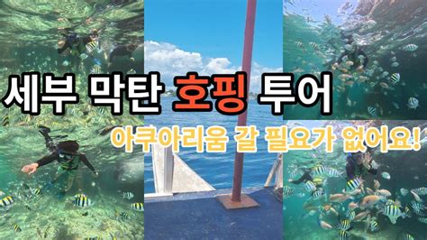 필리핀 여행 세부 바닷속엔 아쿠아리움이 있다 대만족해서 또 가고 싶은 세부 막탄섬 단독 호핑 투어 스노쿨링 수중캠 필리핀 세부 여행 Vlog Ep2 Youtube