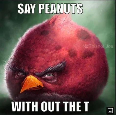 Some Of My Favourite Angry Bird Memes If U Like I Can Post More R