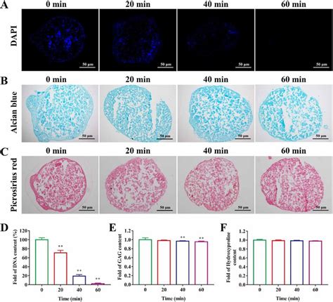 Analysis Of The Optimal Decellularization Protocol The Npc Pellets Download Scientific Diagram