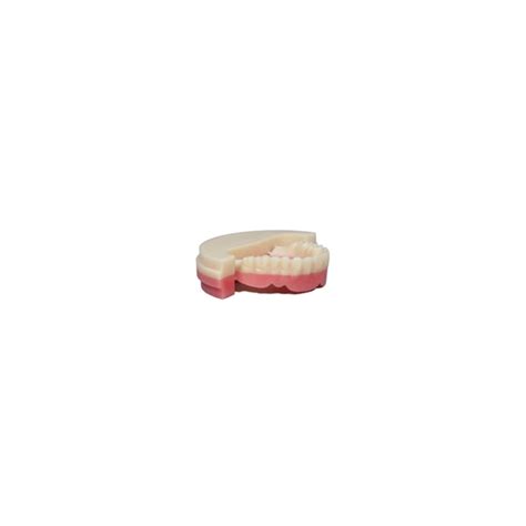 Justi Full Denture Pmma Disc 98 X 30mm