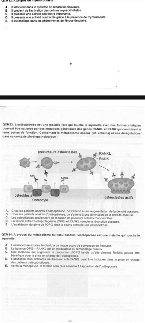Paces Vs Pass Ue2 Histologie Tutorat Associatif Toulousain