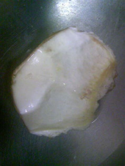 タマゴタケ類発生状況2014 Togetter トゥギャッター